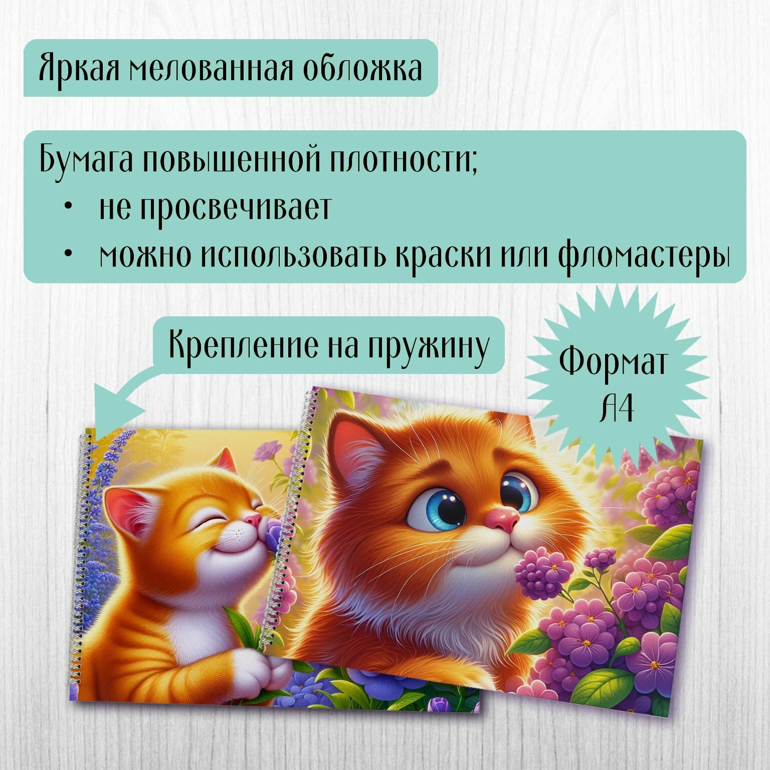 Альбомы для рисования Котики — фото 1