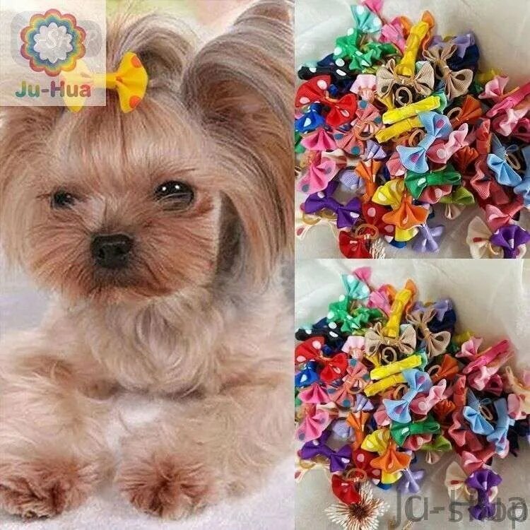 Ju-Hua-C-shop-Украшение из резинок "Бант Йорки" для маленьких собак (набор из 10 штук)