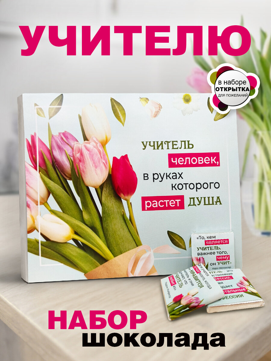 Набор шоколадок Учителю на день рождения, молочный шоколад, 12 шоколадок с открыткой