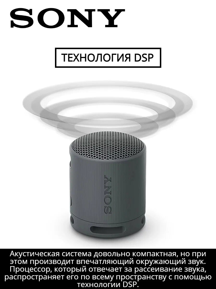 Беспроводная колонка Sony SRS-XB100, влагозащищенная, черная. Оригинал