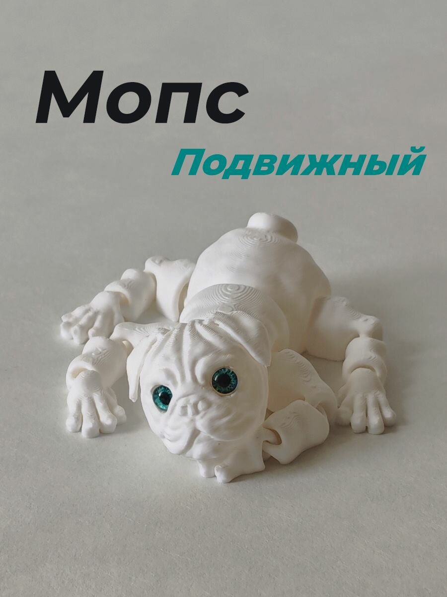 Мопс подвижный