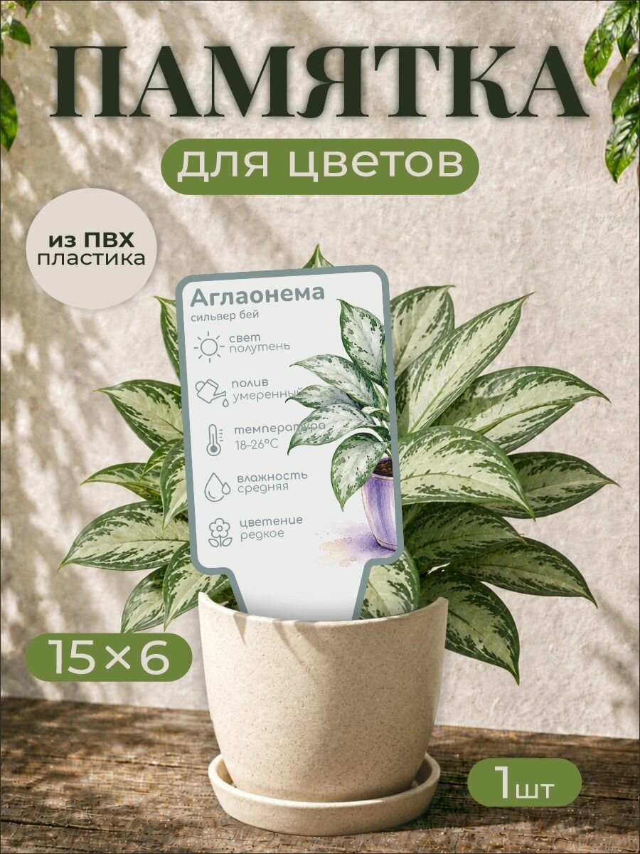 Фигурки для сада Аглаонема сельвер бай