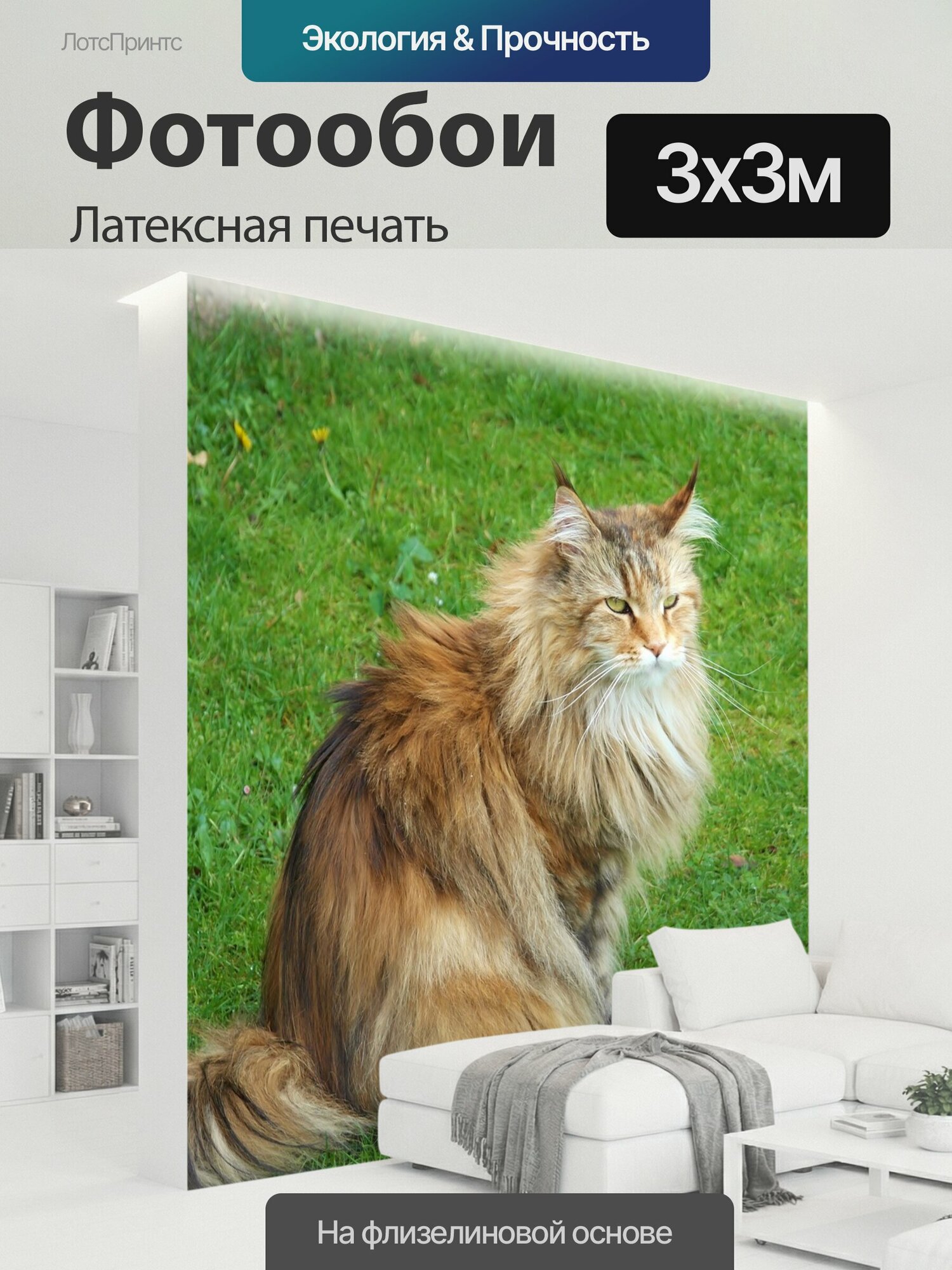 Фотообои моющиеся ударопрочные "Кот, сибирский лесной кот, лесной кот" 300x300 см. латексная печать