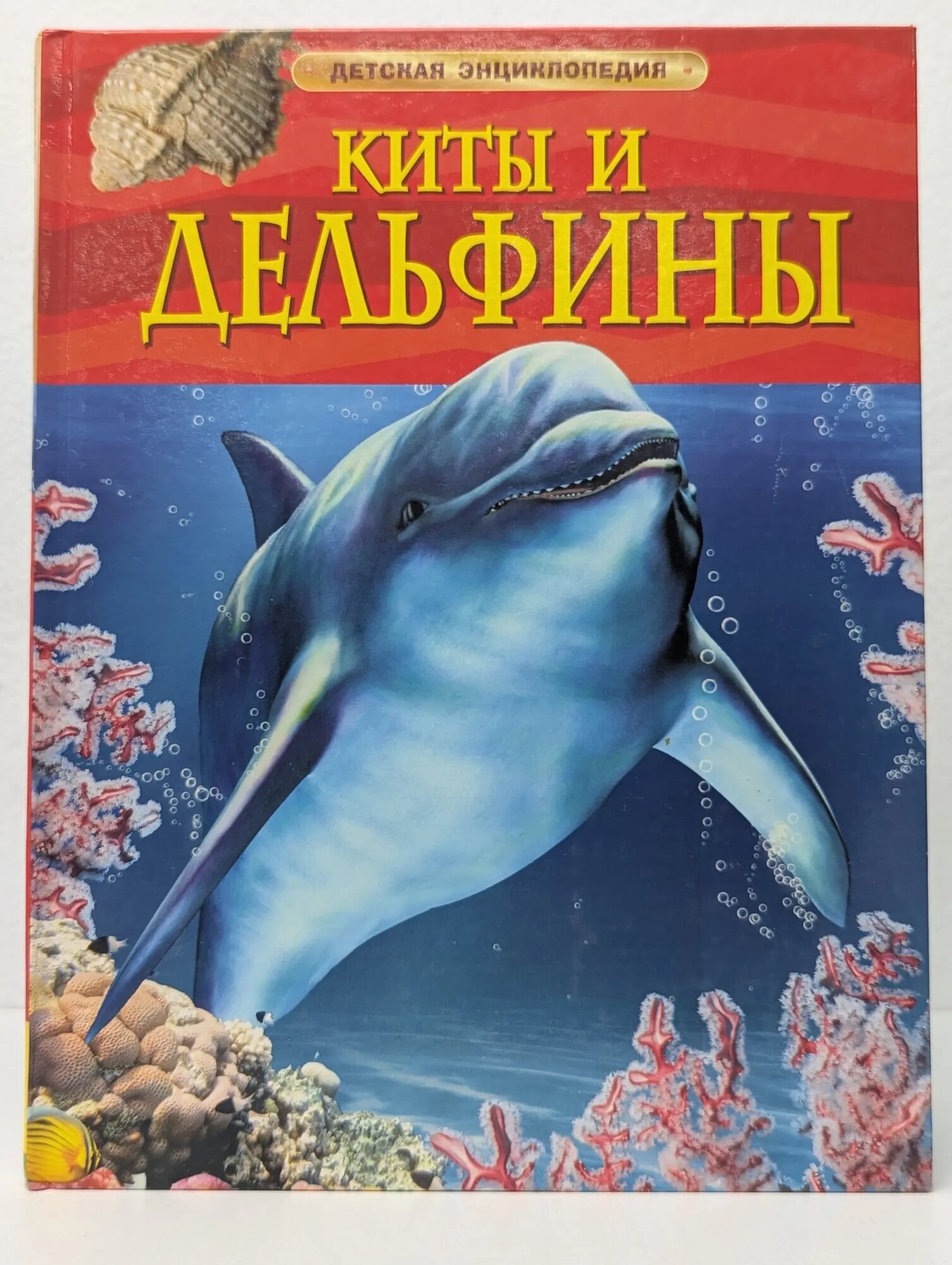 Детская энциклопедия. Киты и дельфины Дэвидсон Сюзанна, Чаромская И. Н. 2012