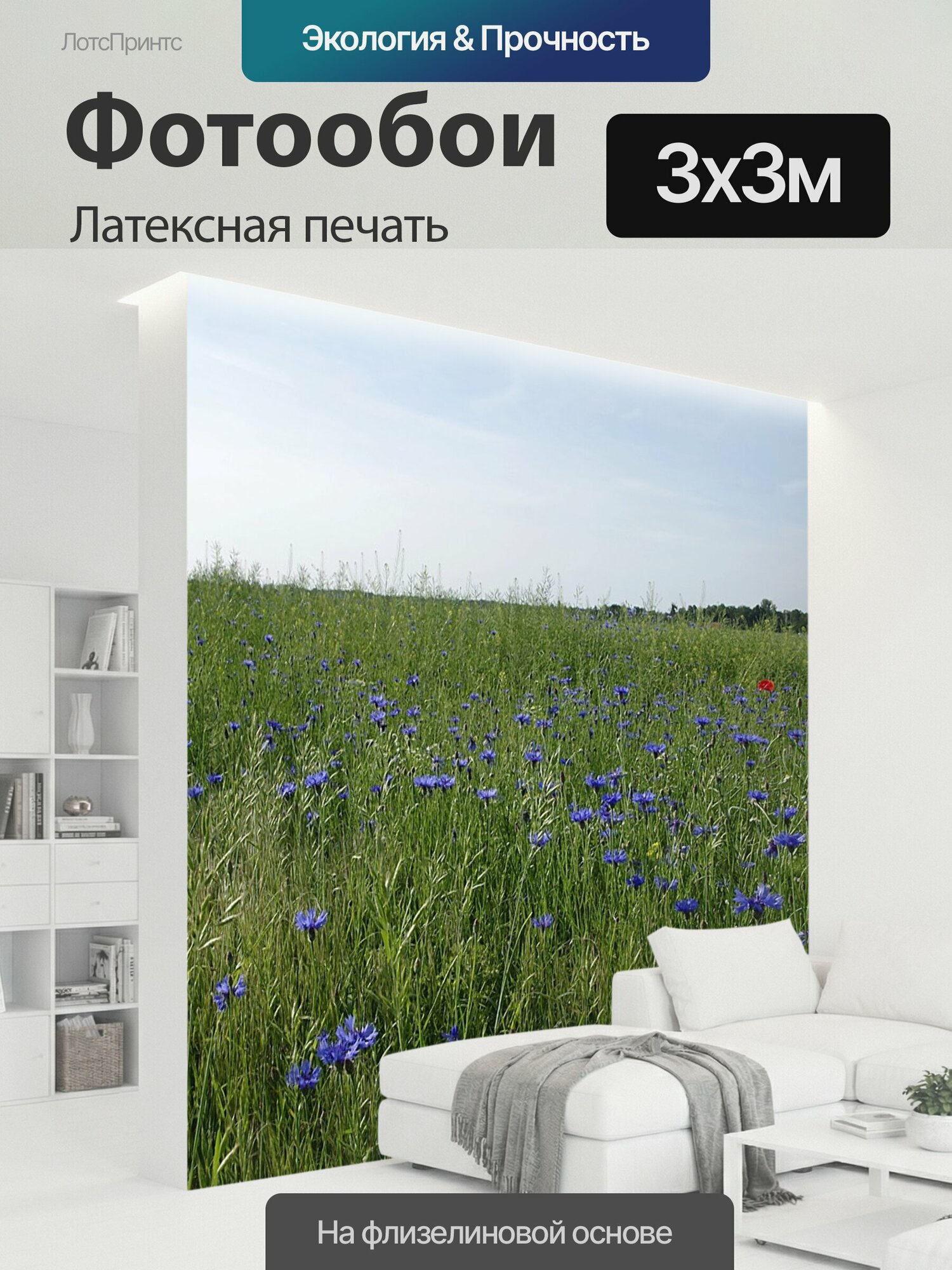 Фотообои моющиеся ударопрочные "Васильки, поле, луг" 300x300 см. латексная печать