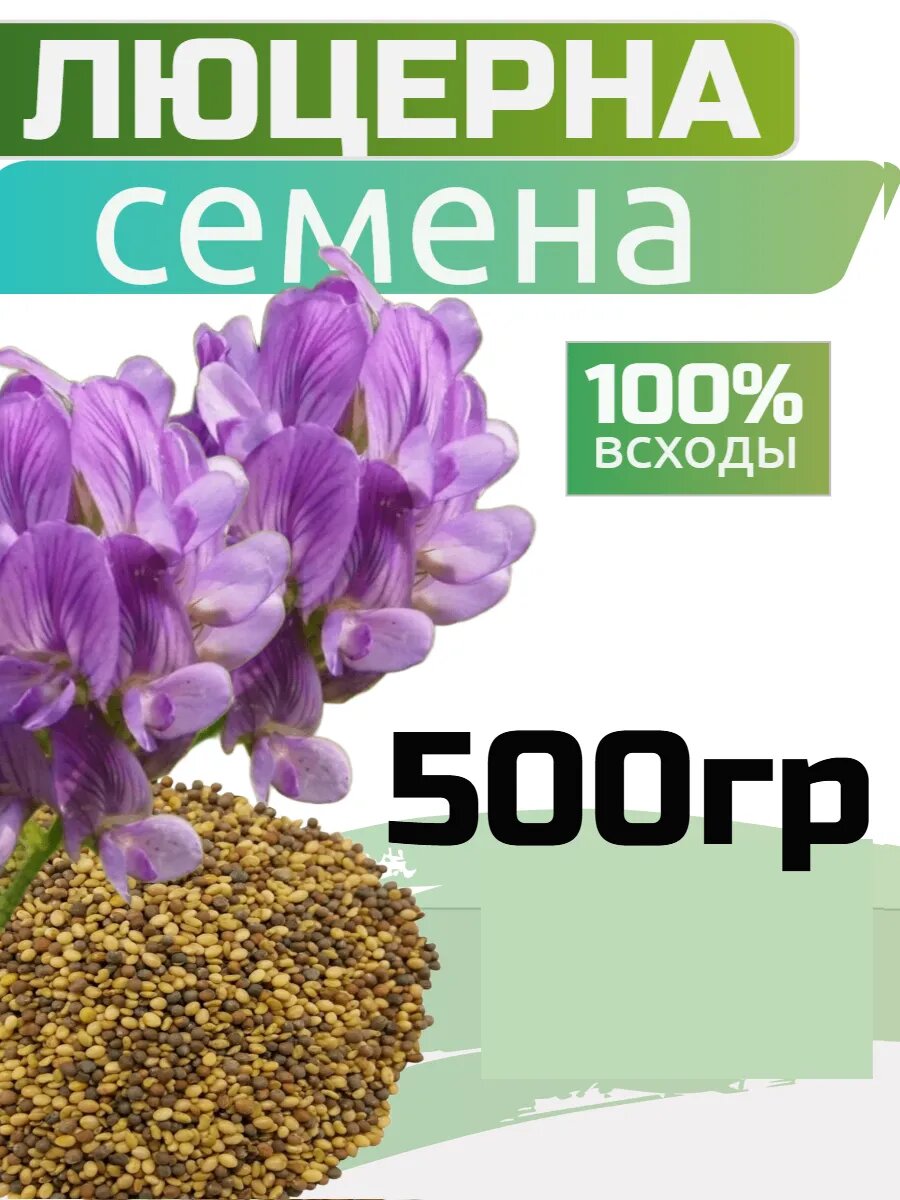 Люцерна сидерат, медонос и корм для скота "PLANT! T", 500 гр, 2 шт.