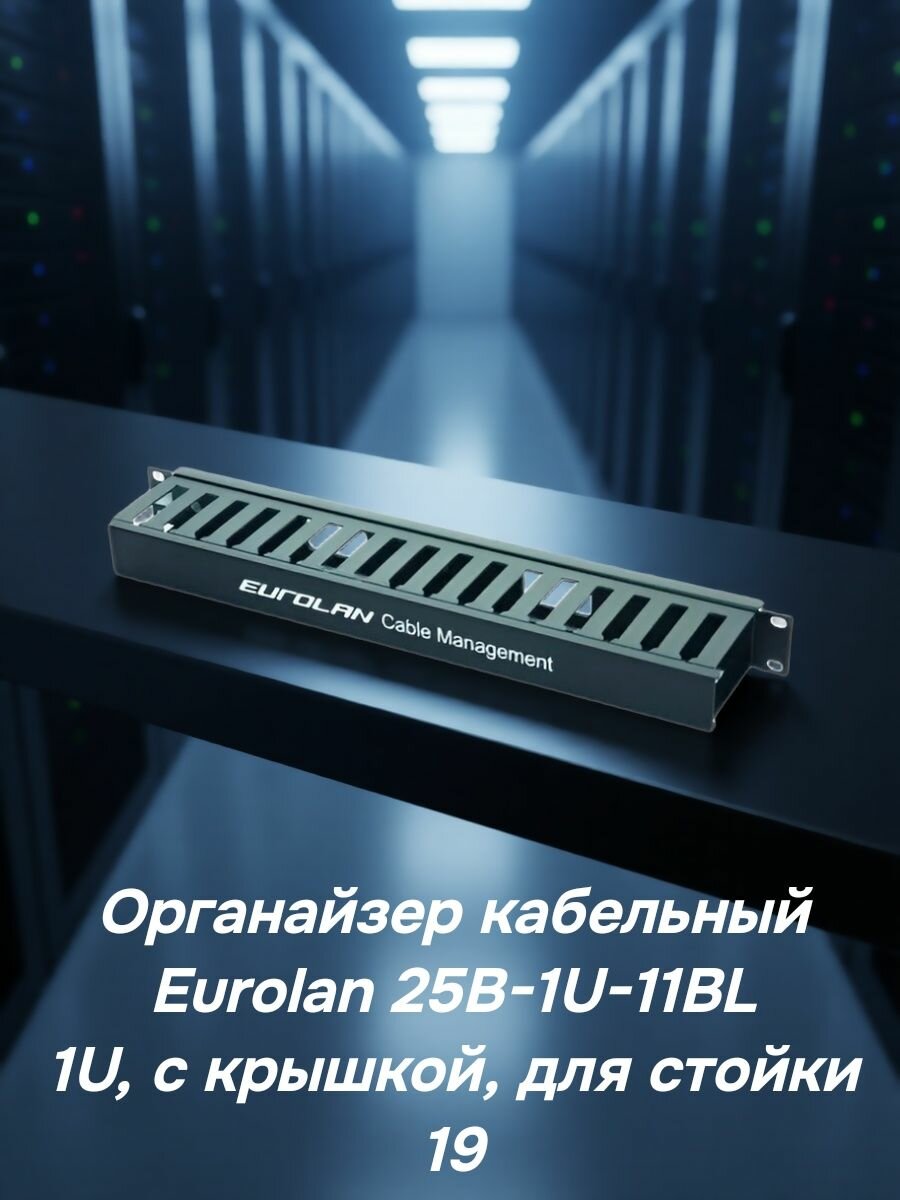 Органайзер кабельный 25B-1U-11BL, 1U, с крышкой, для стойки 19, черный