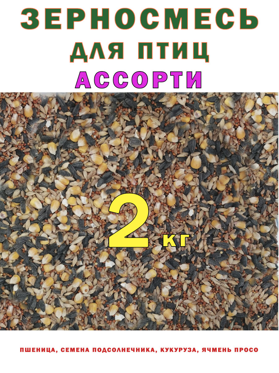 Корм для птиц уличных, парковых, лесных, диких