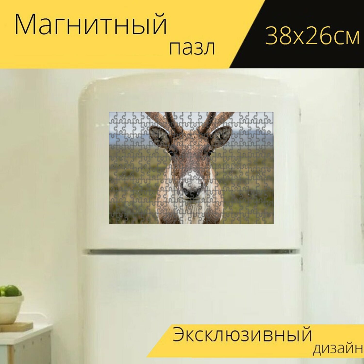 Магнитный пазл "Северный олень с большими рогами. Крупный план животного с ветвистыми рогами, пушистой мордой и светлой шерстью на фоне туманной равнины и." для интерьера, 38х26 см.