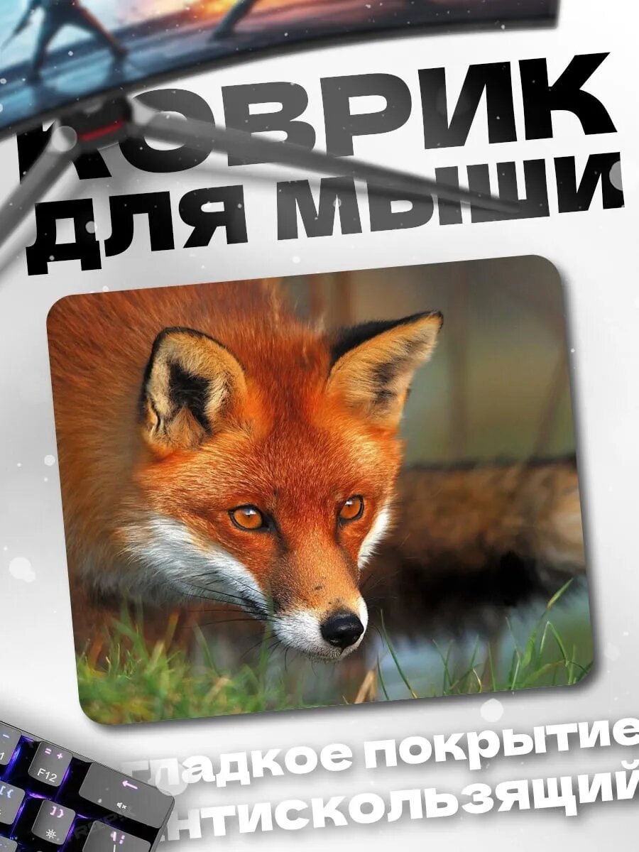 Коврик для мыши рыжая лиса