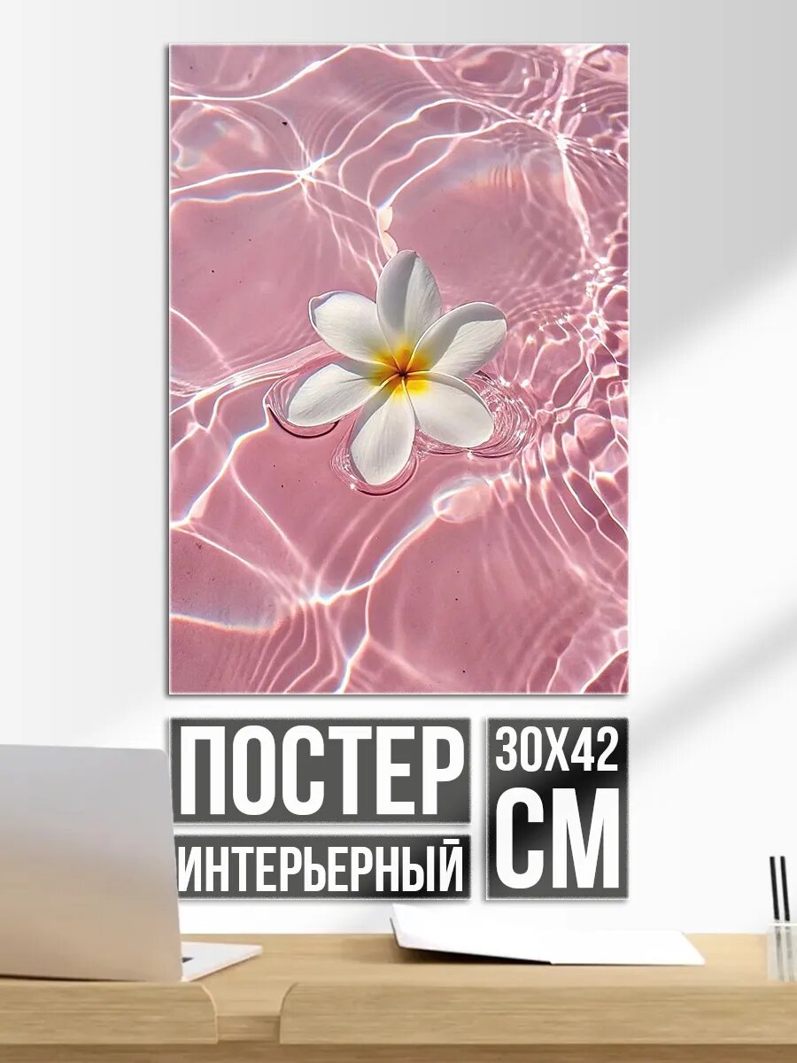 Плакат постер Цветок на воде