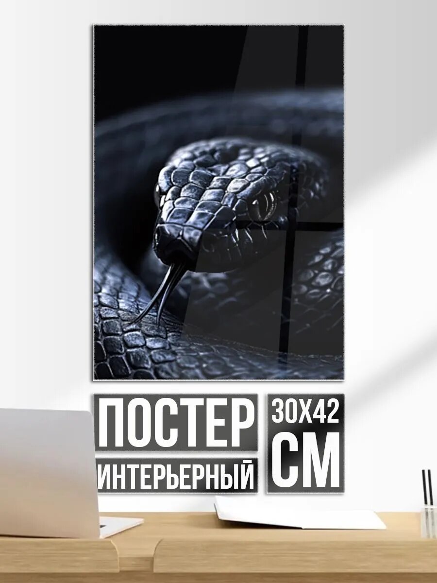 Постер на стену Черная изящная змея