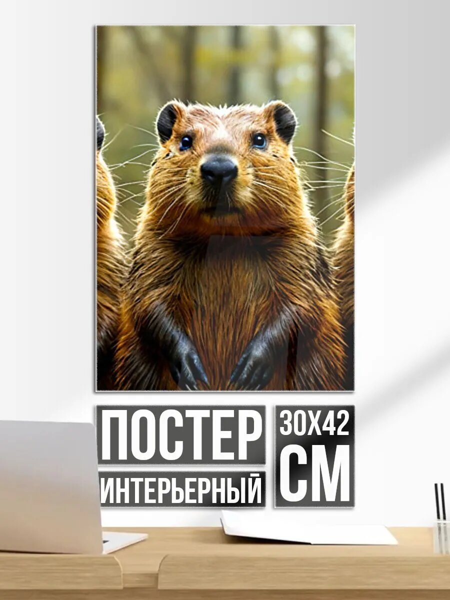 Постер на стену Бобры в лесу