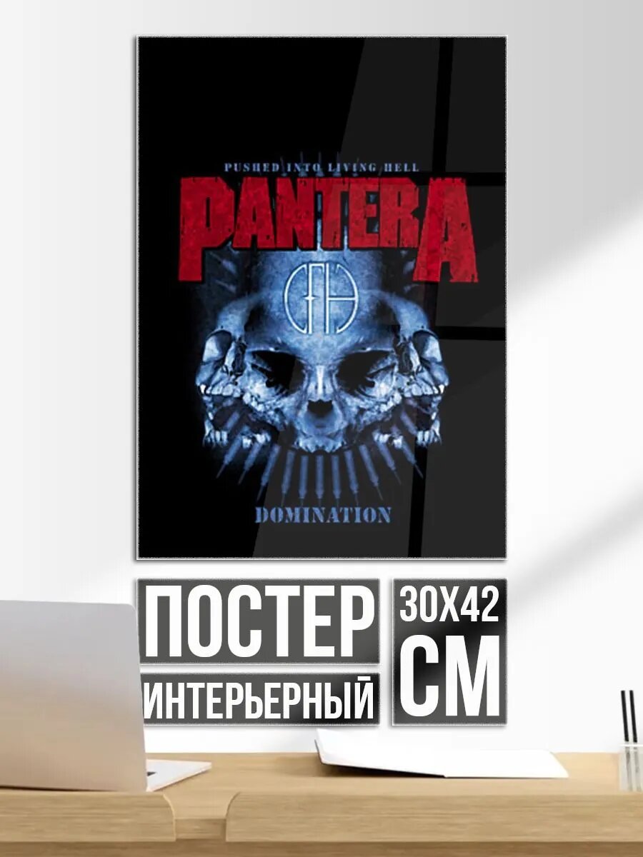 Постер на стену Pantera Domination