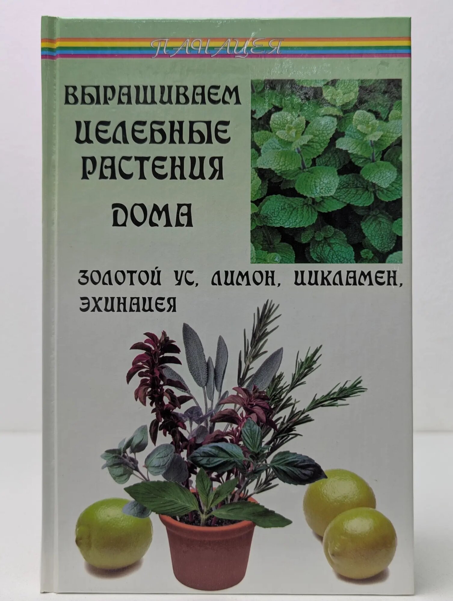 Панацея. Выращиваем целебные растения дома. Золотой ус, лимон, цикламен, эхинацея Казьмин Виктор Дмитриевич 2005