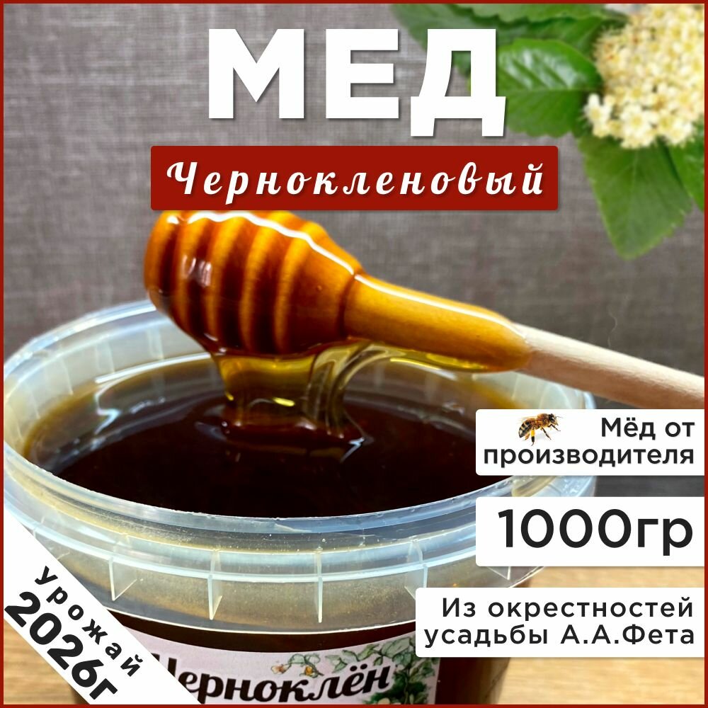 Мед черноклен 1кг 2026г