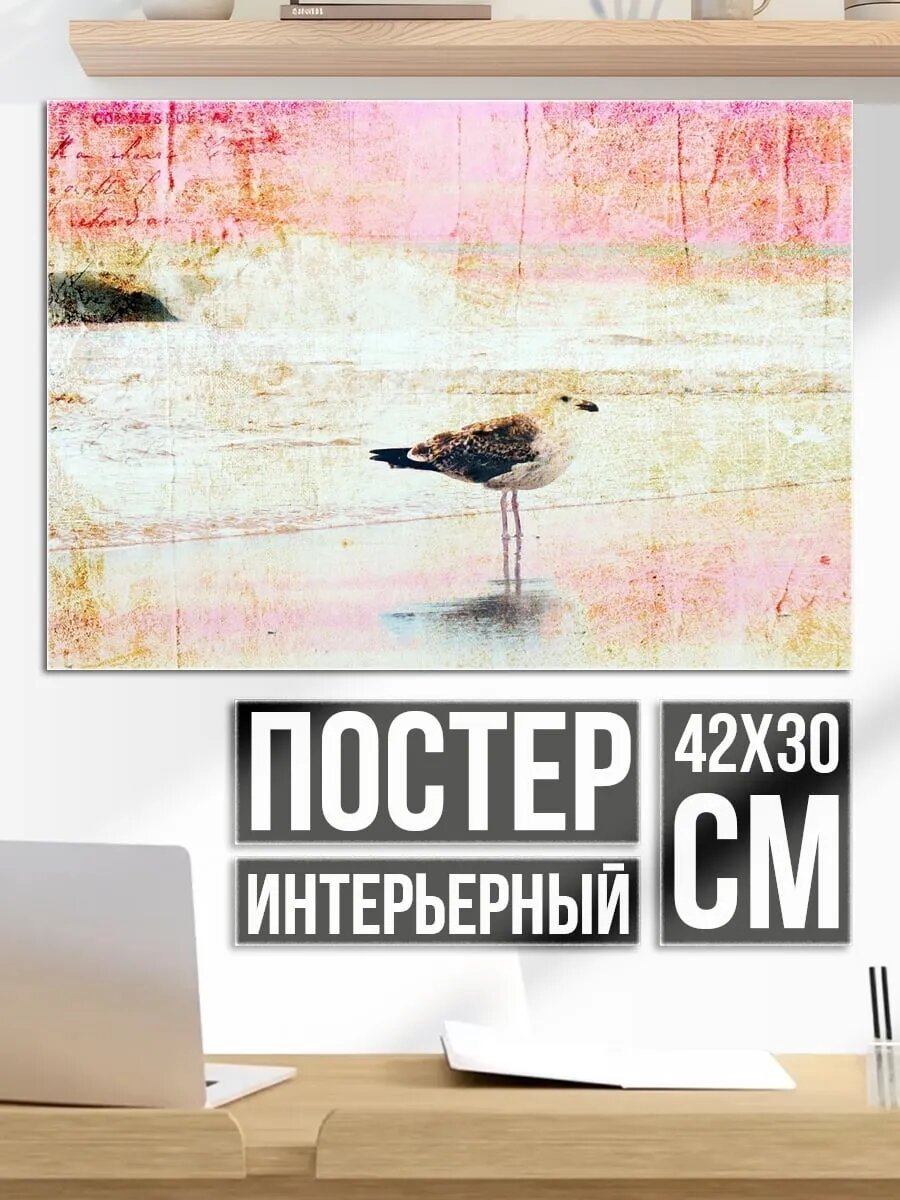 Плакат постер Чайка на берегу
