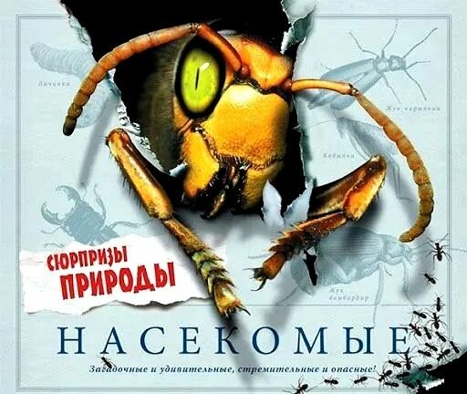 Насекомые. Сюрпризы природы