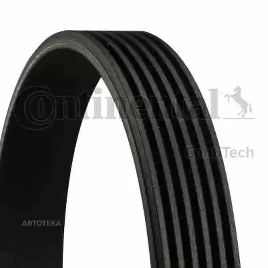 Ремень поликлиновой CONTITECH 6PK1050 AUDI / CITROEN / FAW-VW / FIAT / IVECO / LEXUS / OPEL / PEUGE / SAAB / SEAT / SKODA / SUZUKI / TOY A / VAUXHALL / VW