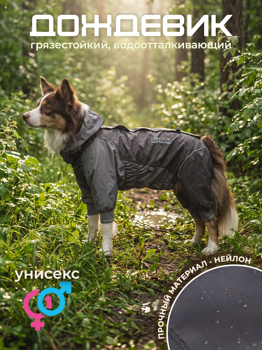 Дождевик для собак