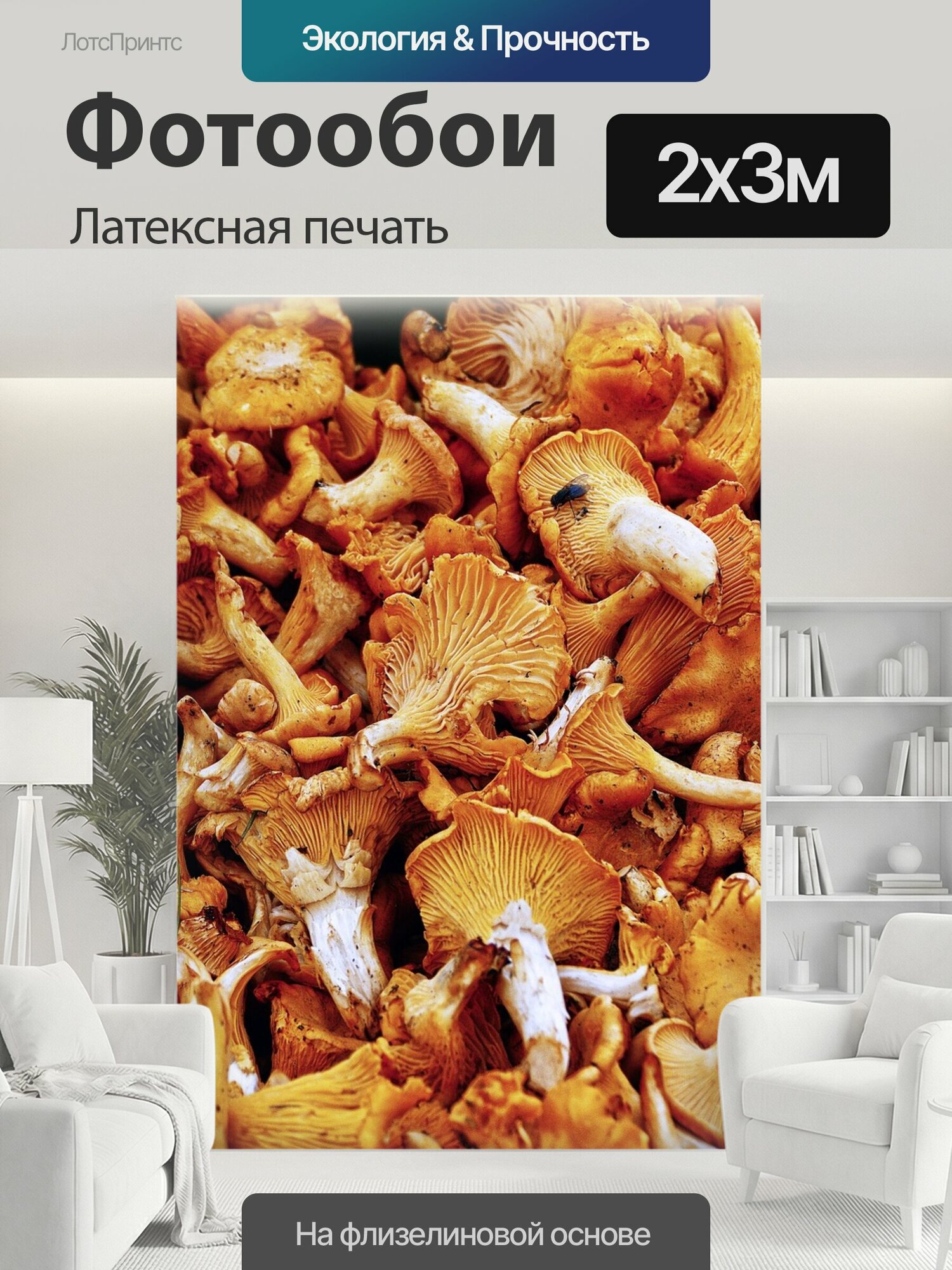 Фотообои моющиеся ударопрочные "Гриб, pfiffer, лисичка" 200x300 см. латексная печать