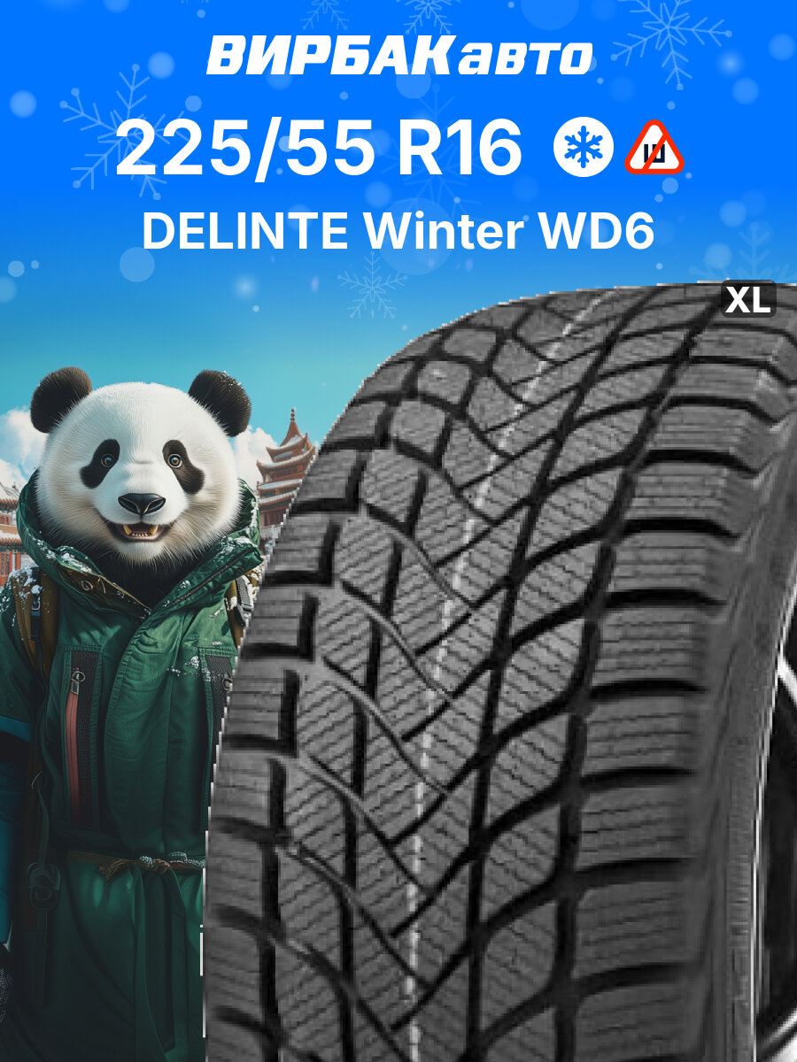 Зимние шины DELINTE Winter WD6 225/55 R16 99V XL, зимняя автомобильная резина
