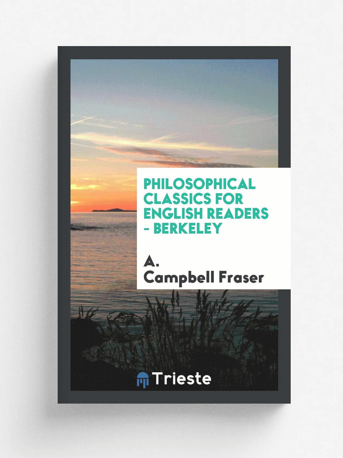 Philosophical classics for English readers - Berkeley
