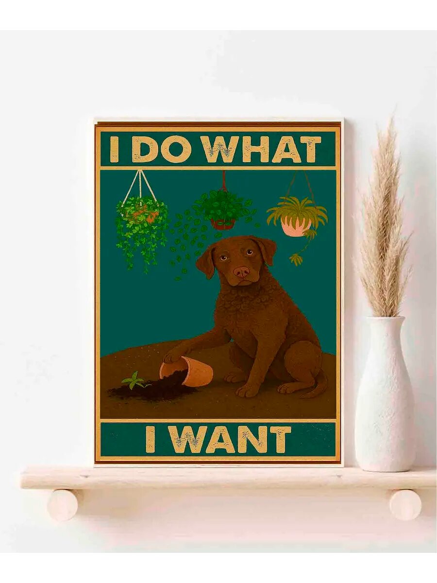 Собака породы ретривер Чесапикского залива, I Do What I Want