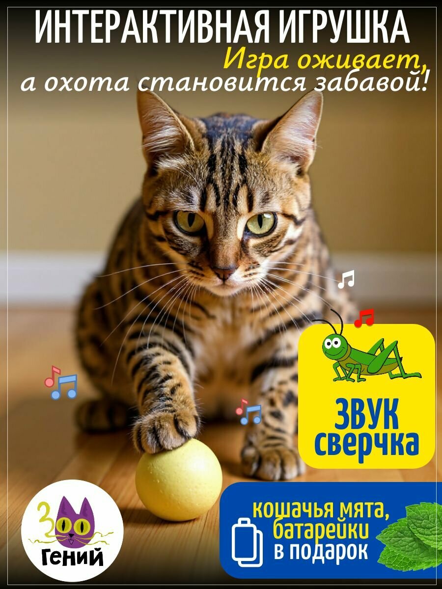 Интерактивный мяч Зоогений, для кошек, собак, с кошачьей мятой и звуками, желтый
