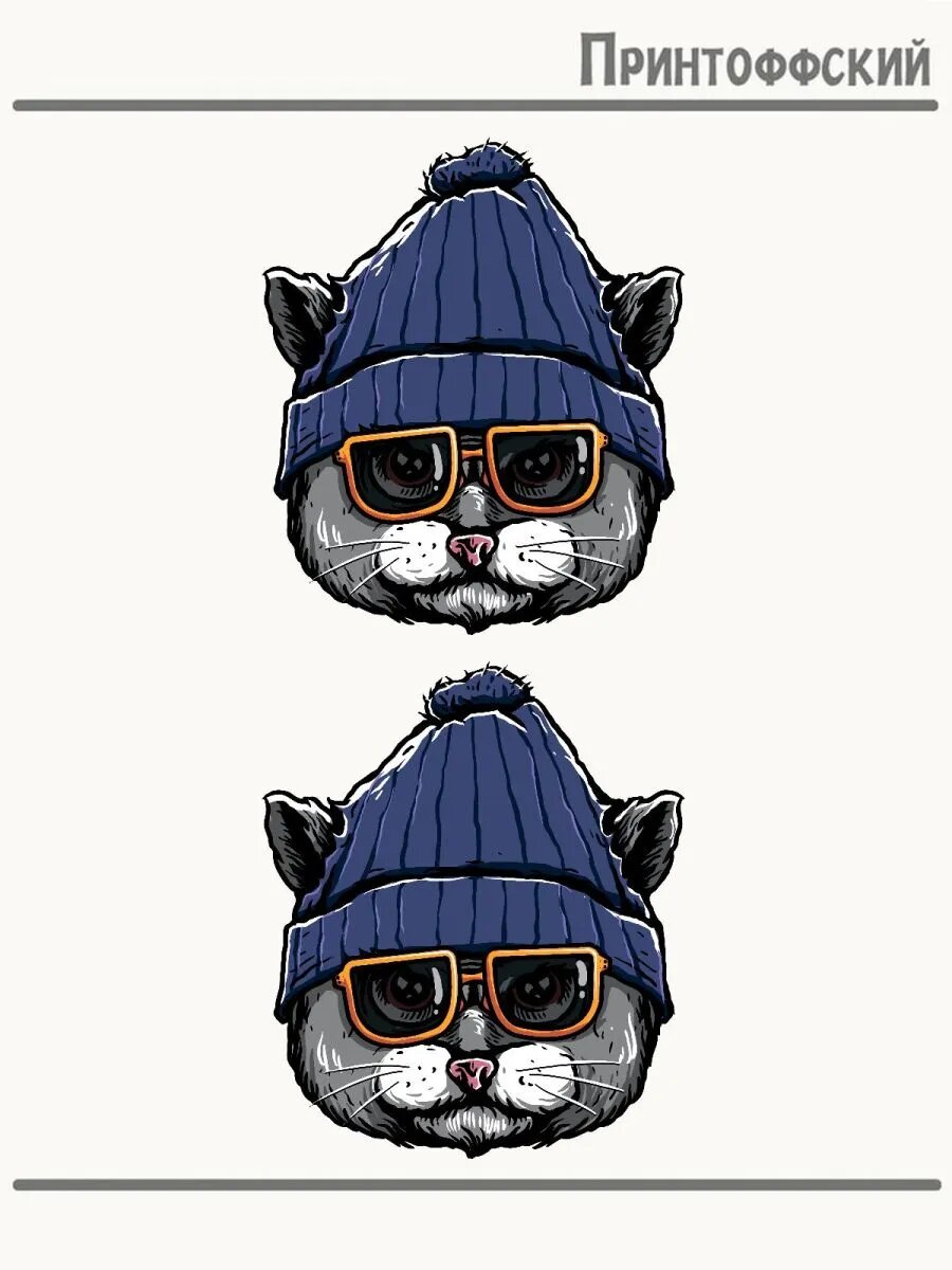 2-е (Две) Термонаклейки кот в очках