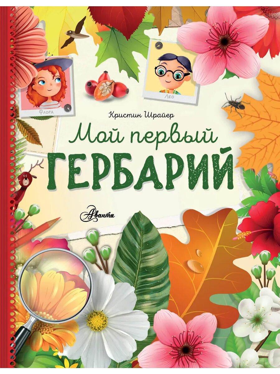 Книга Мой первый гербарий