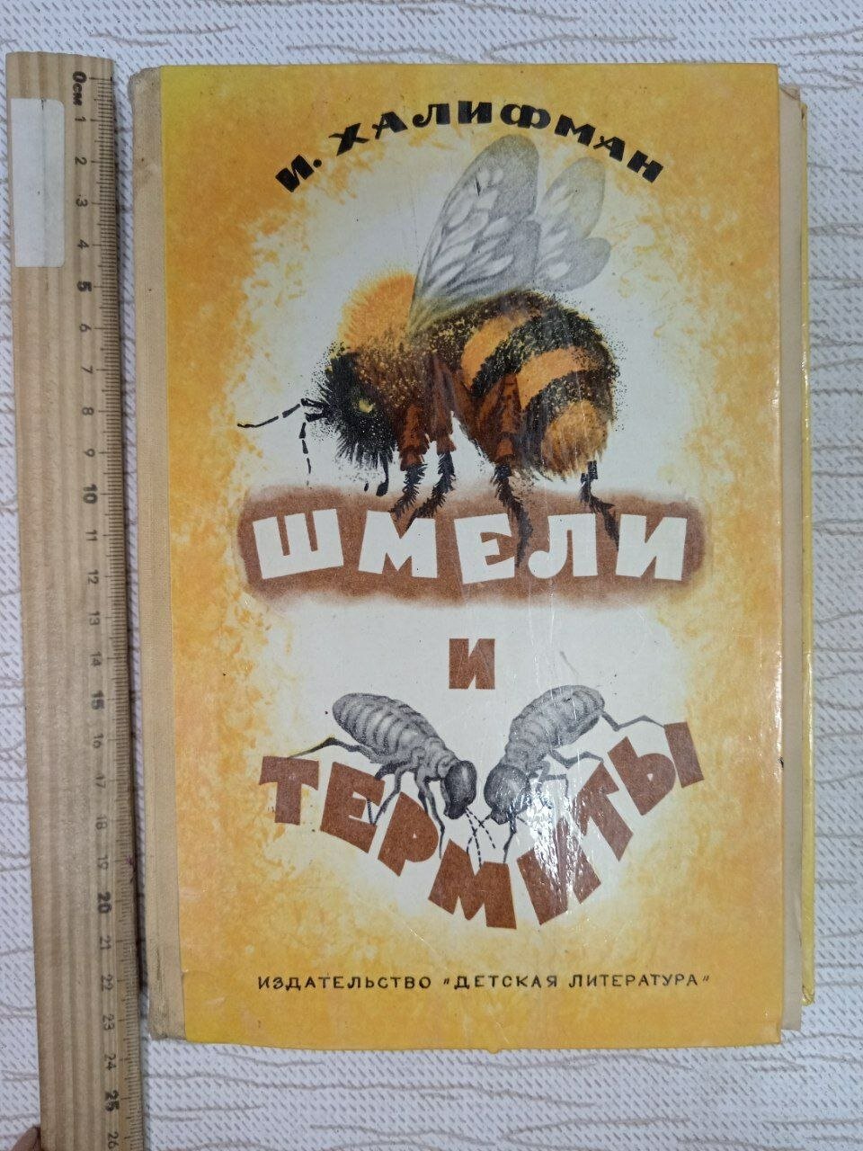 Шмели и термиты