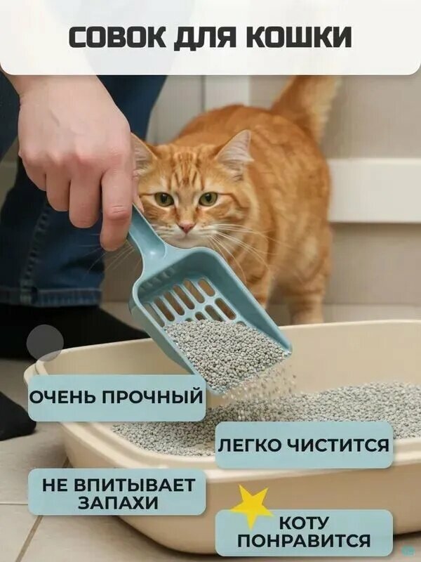 Совок для уборки кошачьего туалета, лопатка для лотка, цвет голубой