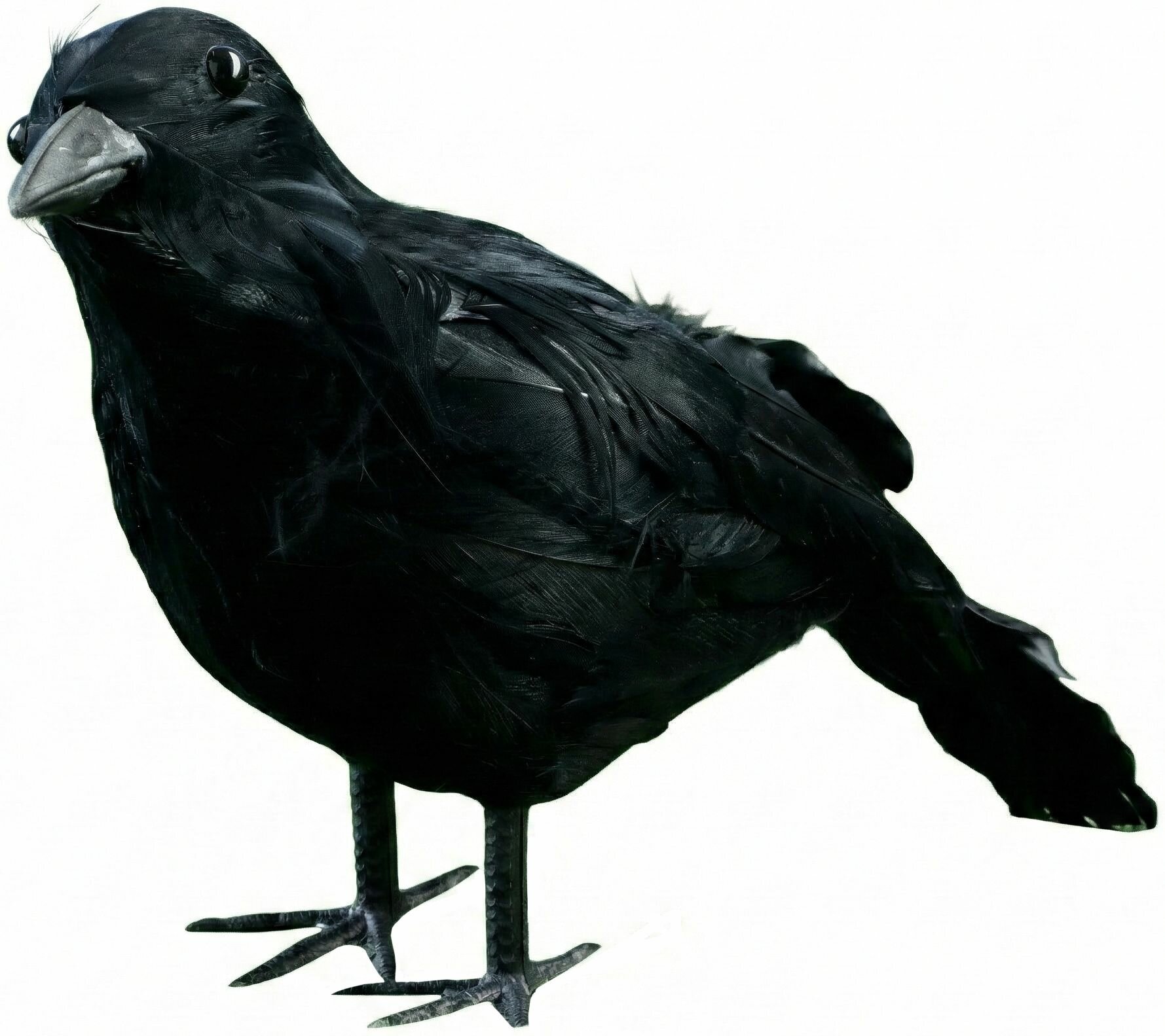 Фигурка настольная "Ворон" из пенопласта, статуэтка для интерьера и праздника, сувенир в подарок, праздничный декор, размер 27х8х17 см