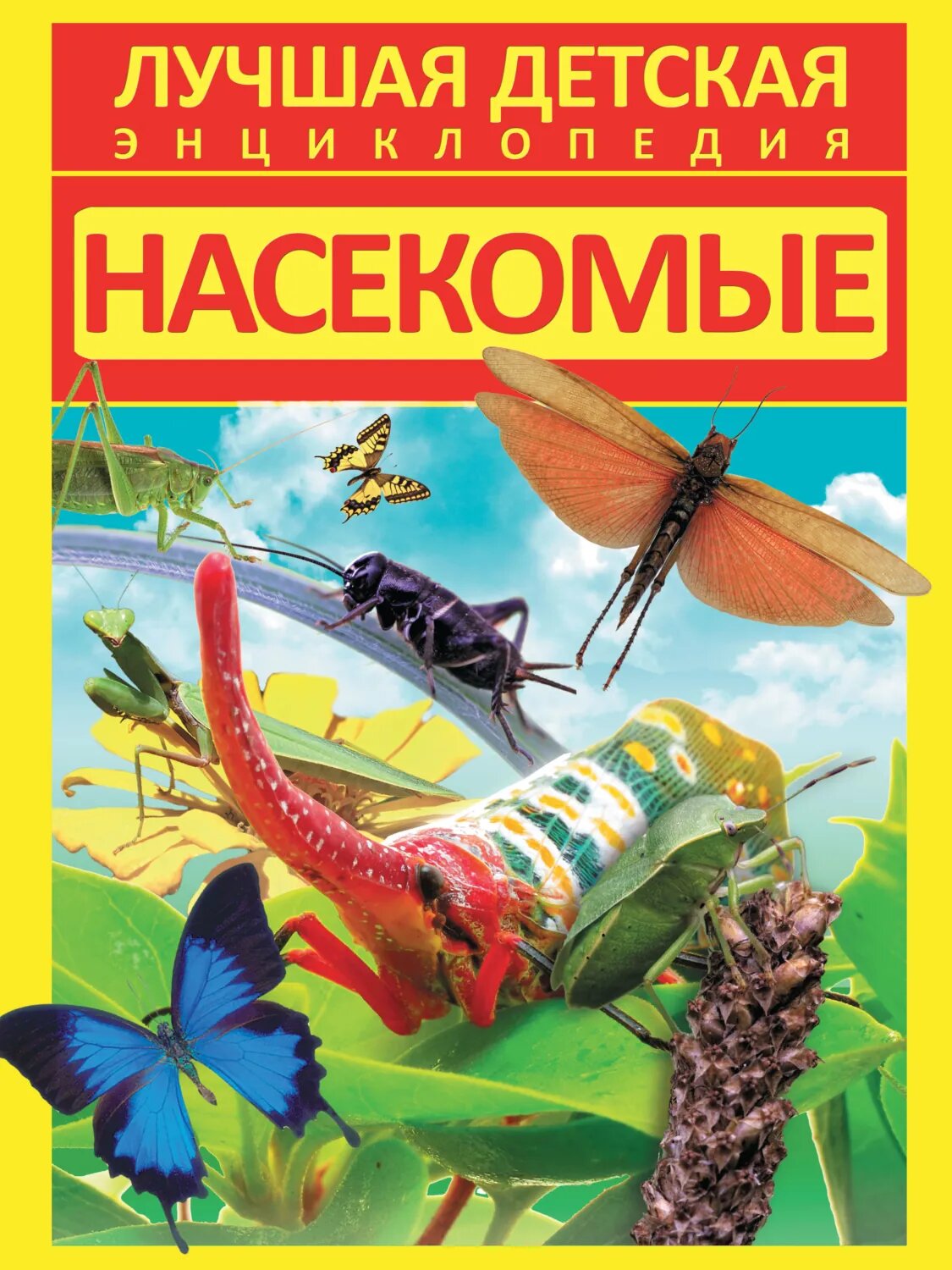 Насекомые [Цифровая книга]