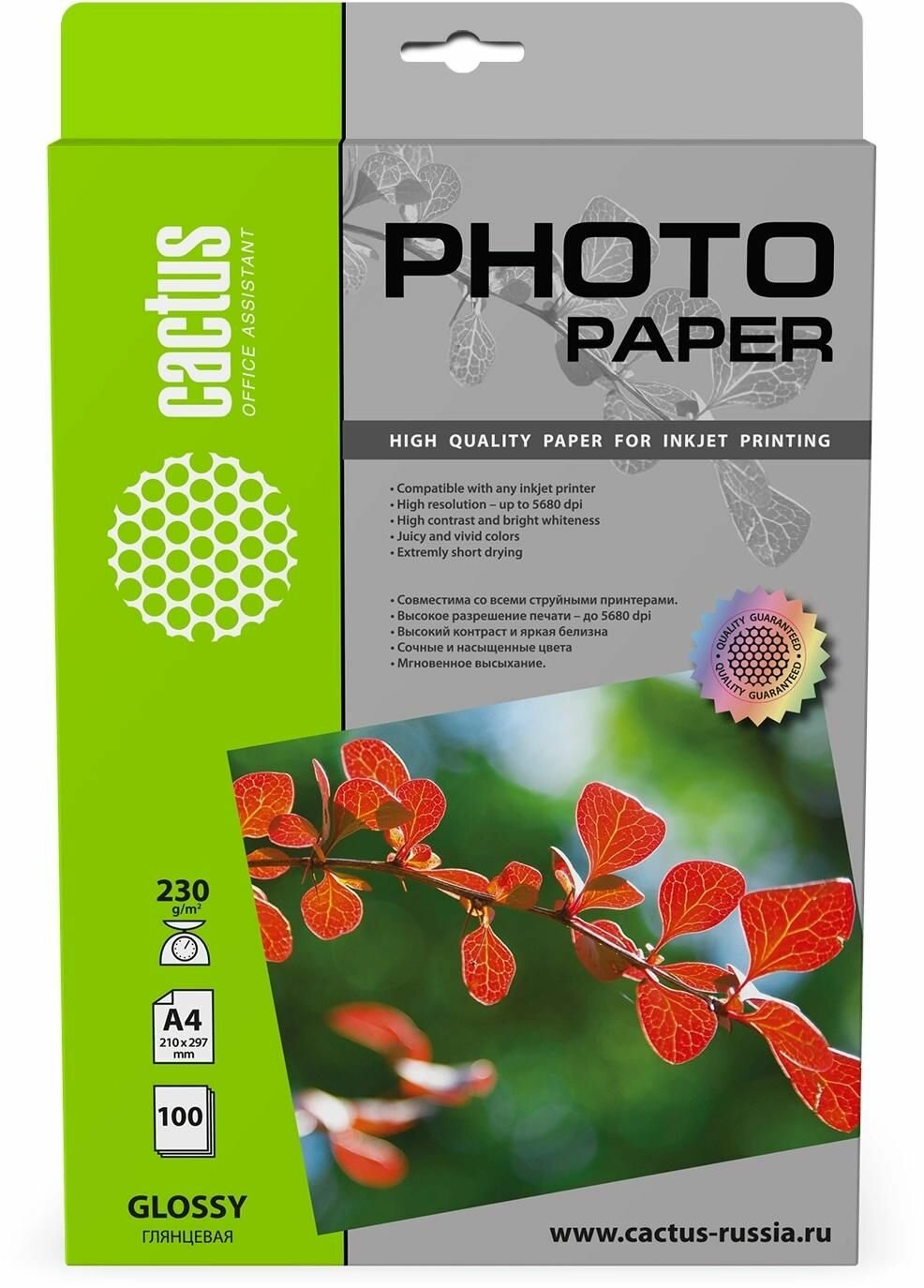 Фотобумага CACTUS A4, 230 г/м2, 100 л, глянцевая, для струйной печати (CS-GA4230100)