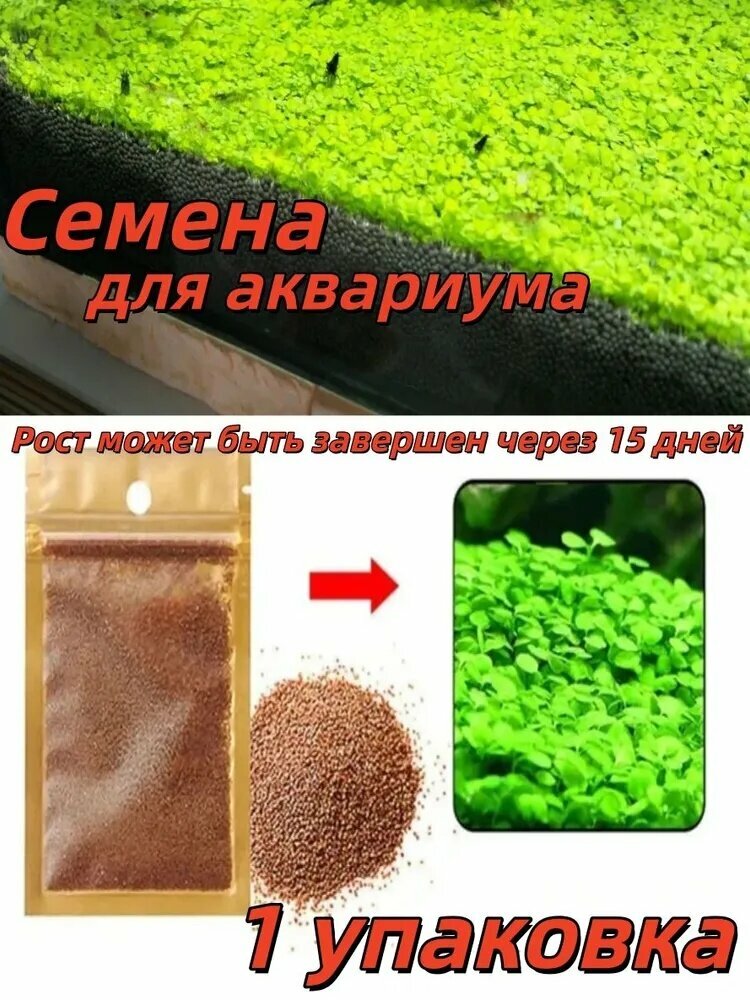 Семена для аквариума Глоссостигма, "Жемчужный ковер",1 упаковка