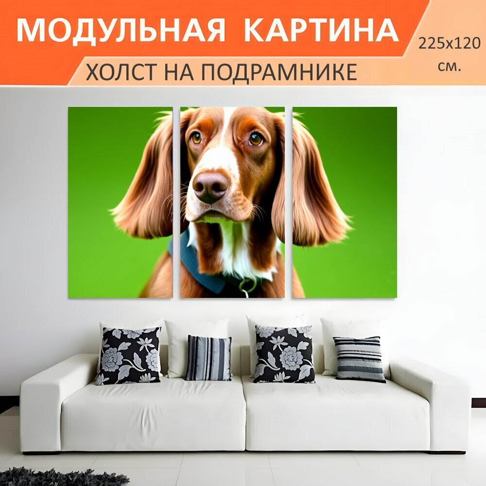 Модульная картина на холсте "Коричнево-белый британийский спаниель с длинными ушами и большим носом, в зеленом размытом фоне, в." триптих на подрамнике 225х120 см. для интерьера