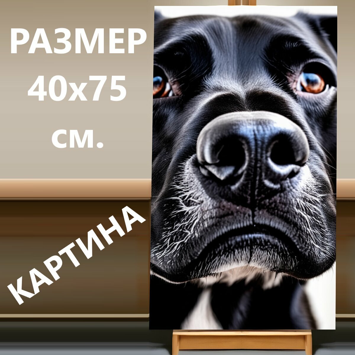 Картина на холсте "Макросъемка носа черной собаки с четкой текстурой, на фоне белой стены, акцент на детали и выражении, подчеркивающей шерсть и морщины." на подрамнике 75х40 см. для интерьера