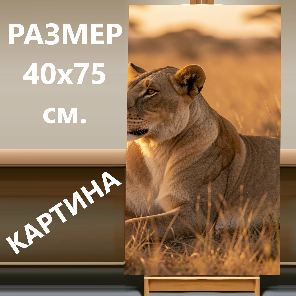 Картина на холсте "Львица в саванне на закате. Хищная кошка отдыхает в высокой сухой траве африканской равнины, мягкий золотой свет, теплые." на подрамнике 75х40 см. для интерьера