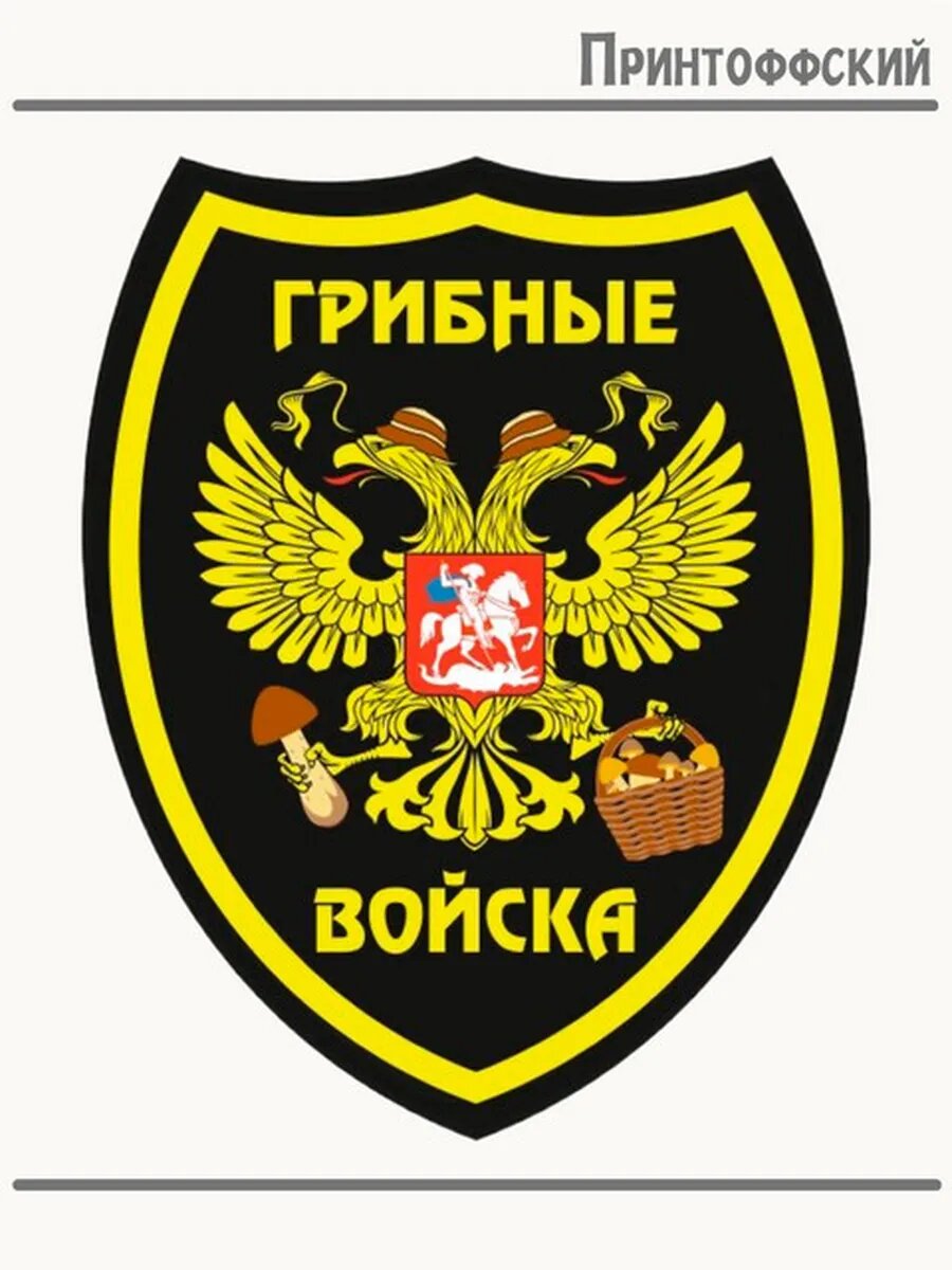 Термонаклейка для одежды и аксессуаров DTF-печать Грибные Войска