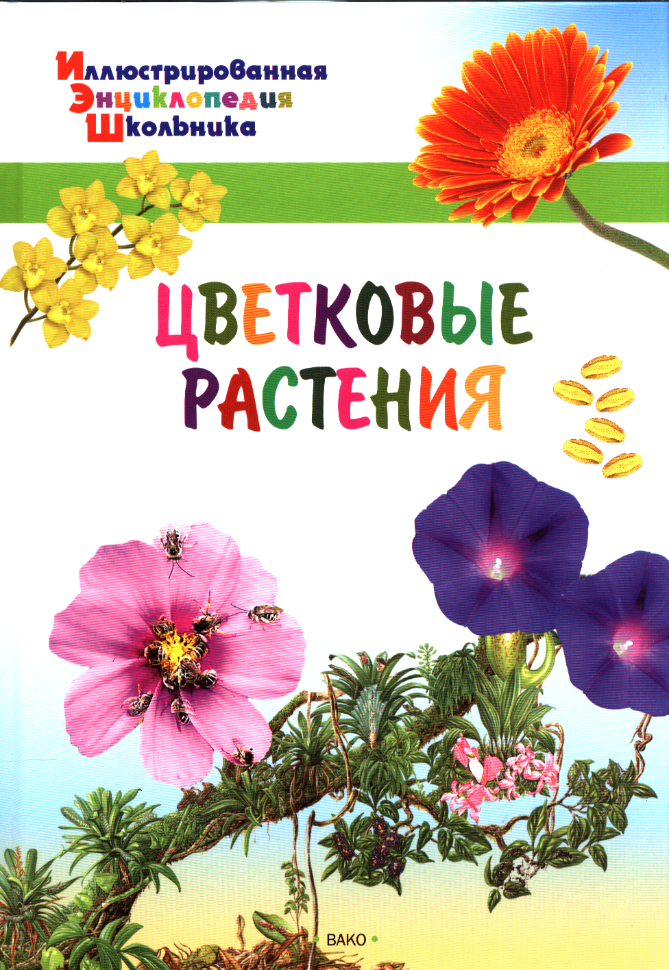 ИллюстрированнаяЭнциклопедияШкольника Цветковые растения (Орехов А. А.), (Вако, 2019)