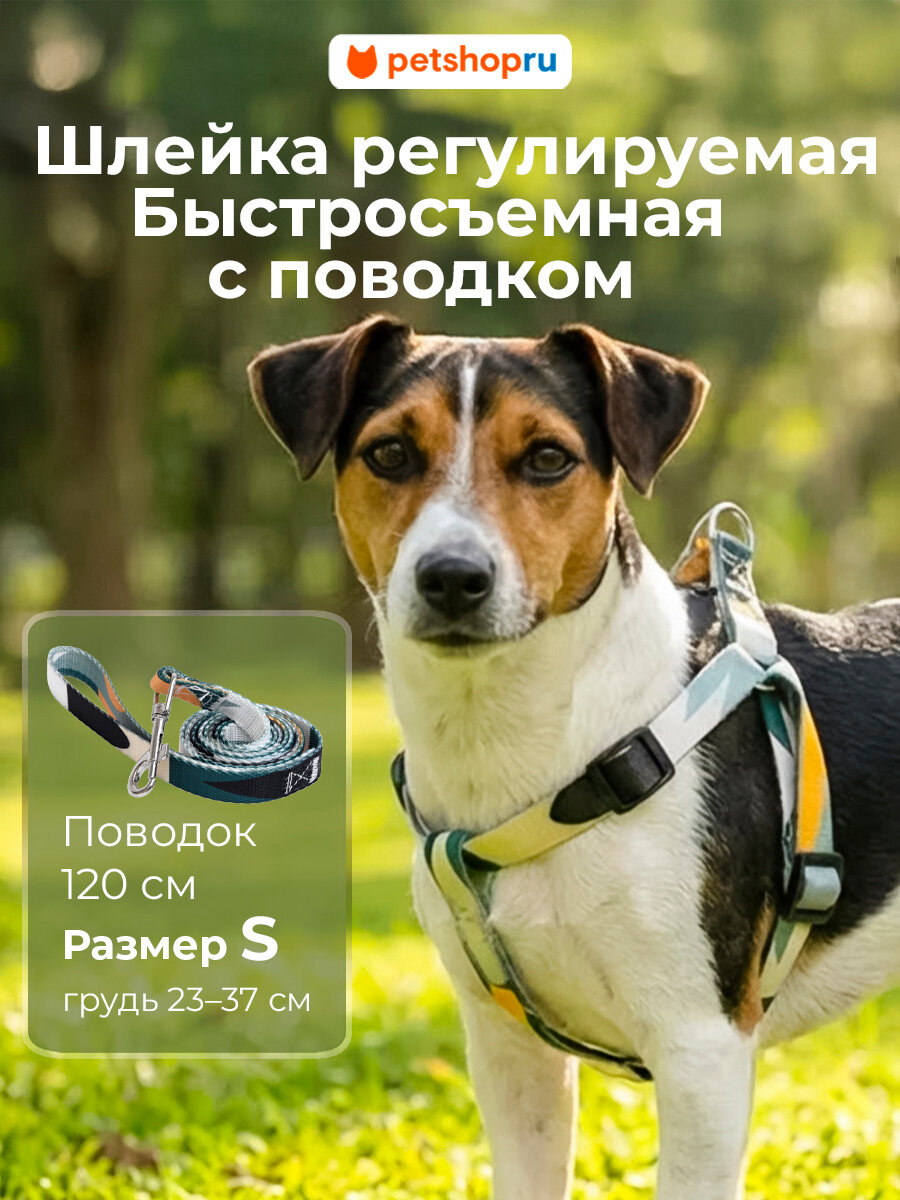 PETSHOP Шлейка с поводком для собак регулируемая "Пикси", серый-бирюзовый, S