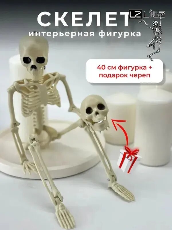 Фигурка скелет интерьерная 40 см + подарок череп для декора на Хэллоуин