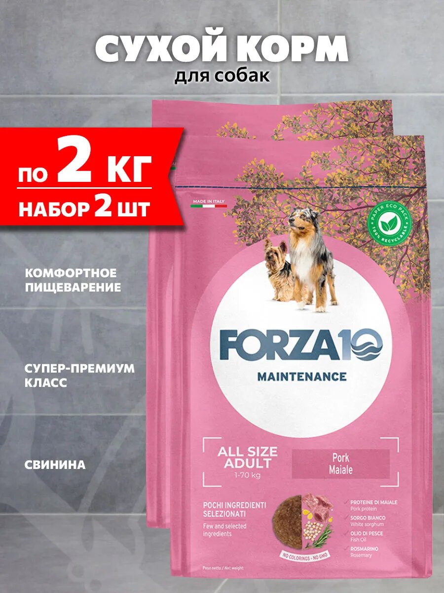Корм сухой Forza10 Dog Maintenance Adult All Size для взрослых собак всех пород, свинина, 2 кг 2 шт