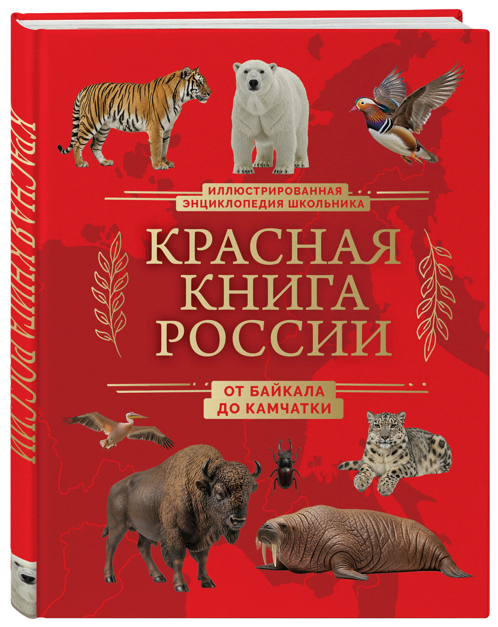 Добрыня Ю. М. Красная книга России. От Байкала до Камчатки. Иллюстрированная энциклопедия школьника (48 стр.)