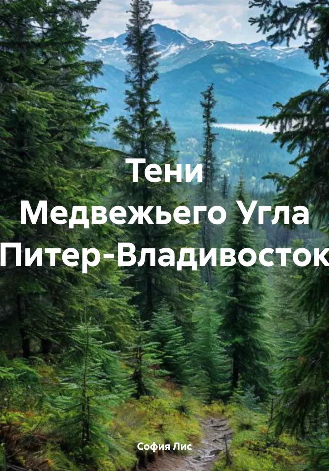 Тени Медвежьего Угла Питер-Владивосток [Цифровая книга]