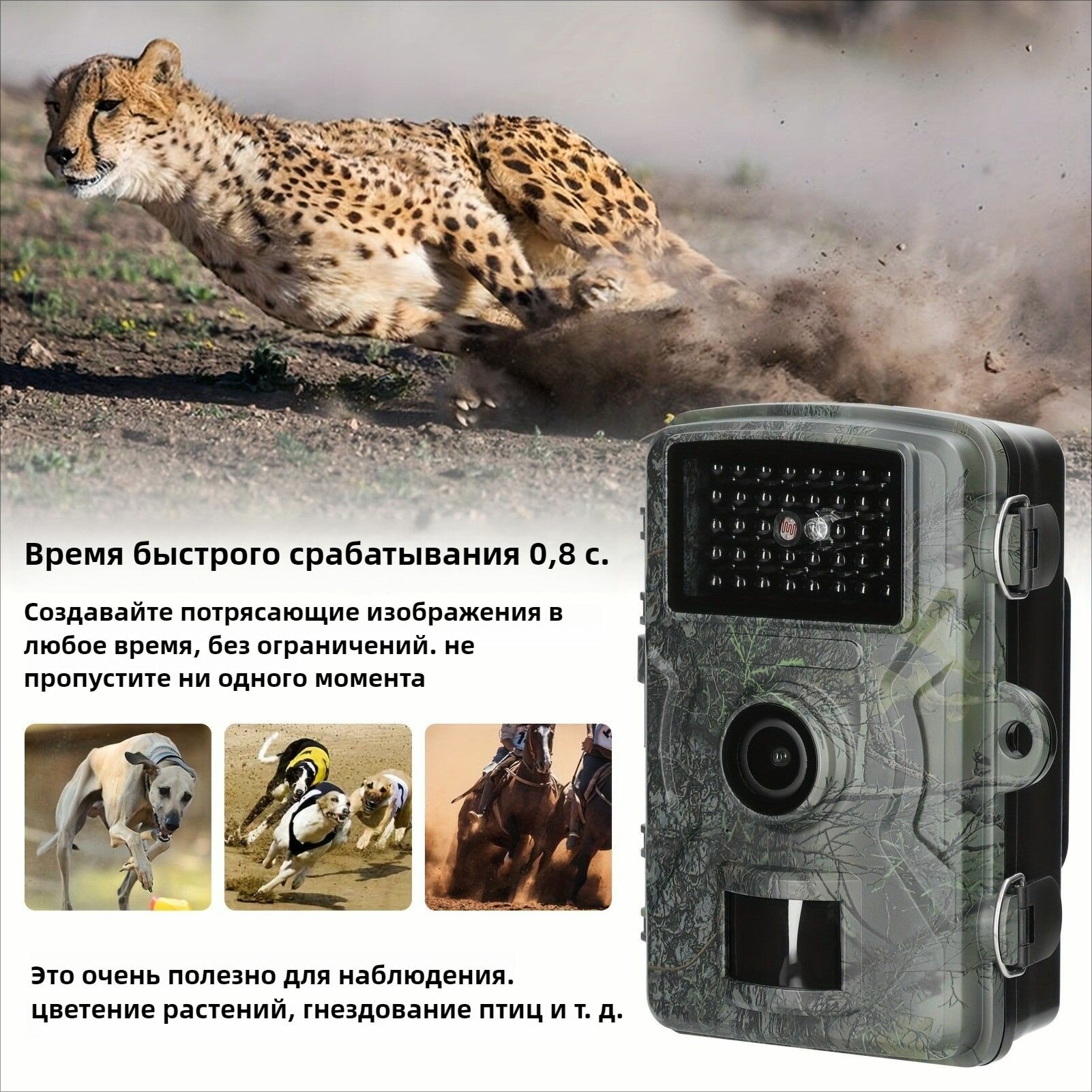 Фотоловушка для охоты — фото 1