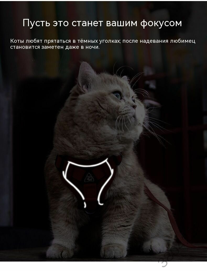 Шлейка — фото 1