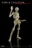 Фигурка скелета Human Skeleton Internal Ballet, 17см, Цвет: E